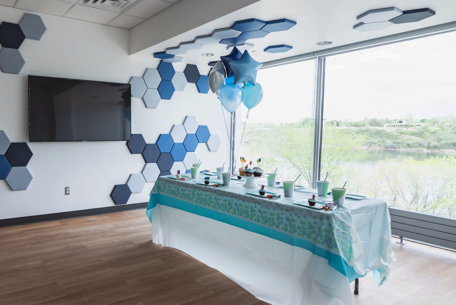 Birthday Parties - Party Rooms - Nutrien Wonderhub